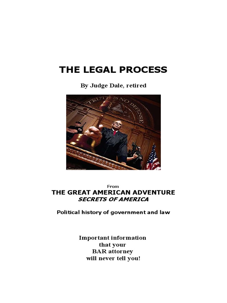 Understanding the Legal Process in America | PDF | Divorce | U.S. State