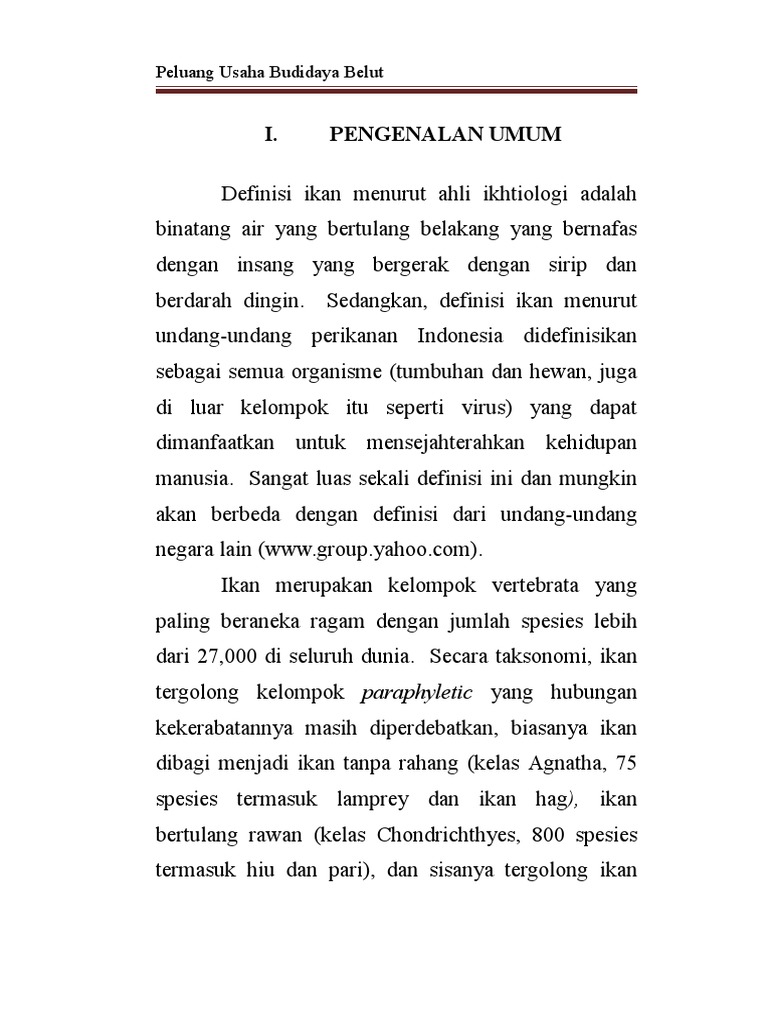 Budidaya Belut | PDF