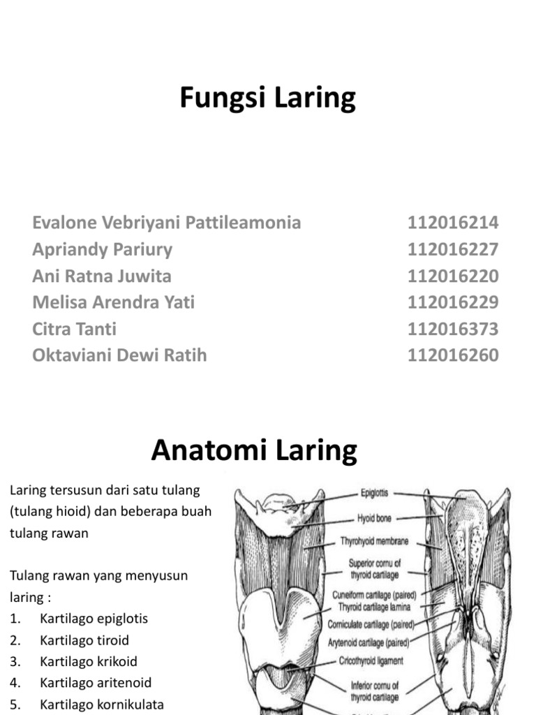 Fungsi Laring FIX | PDF