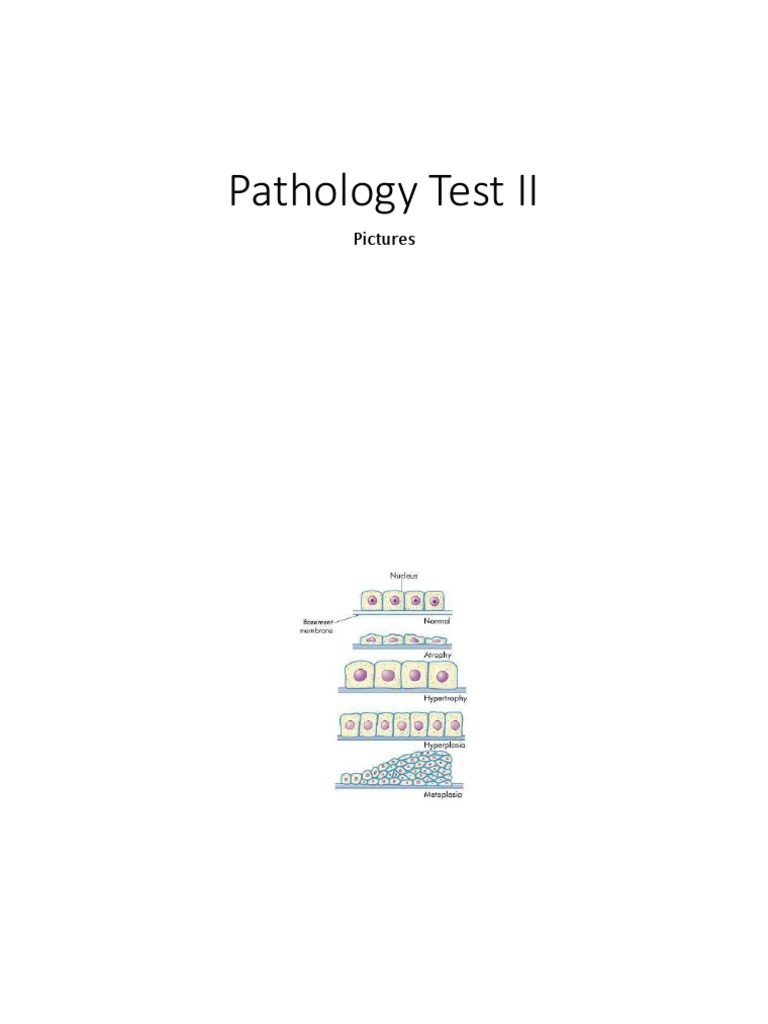 Pathology Test II | PDF