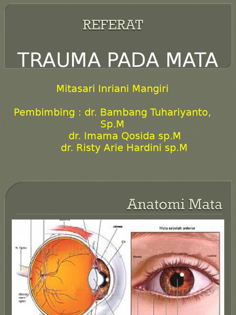Trauma Pada Mata | PDF