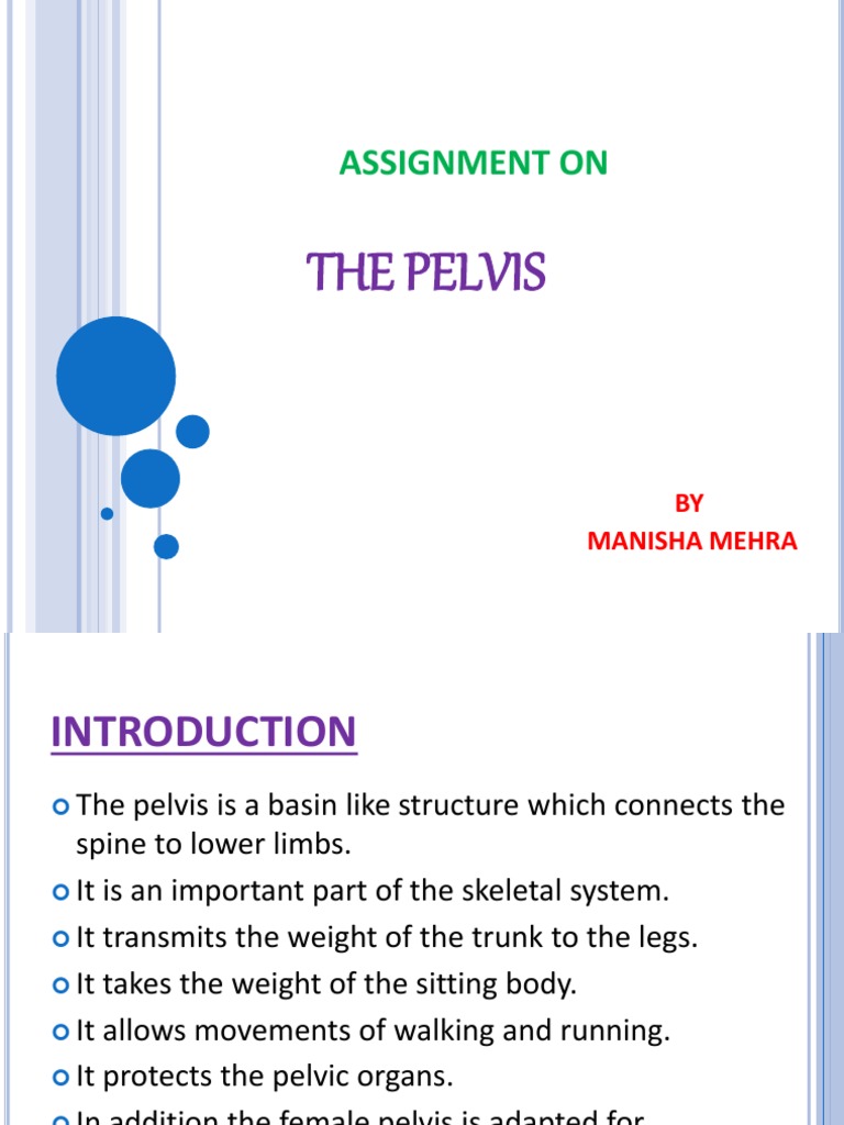 The Pelvis: Assignment On | PDF | Pelvis | Anatomy