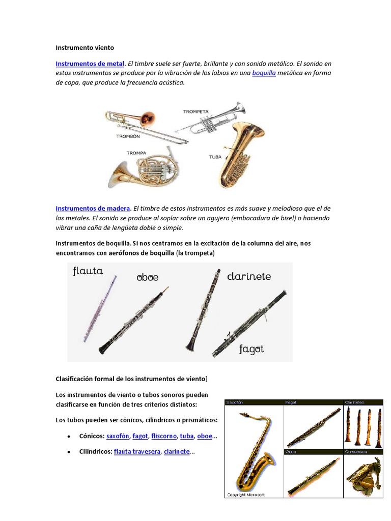 Instrumento Viento | PDF | Instrumentos musicales | Instrumentos de cuerda