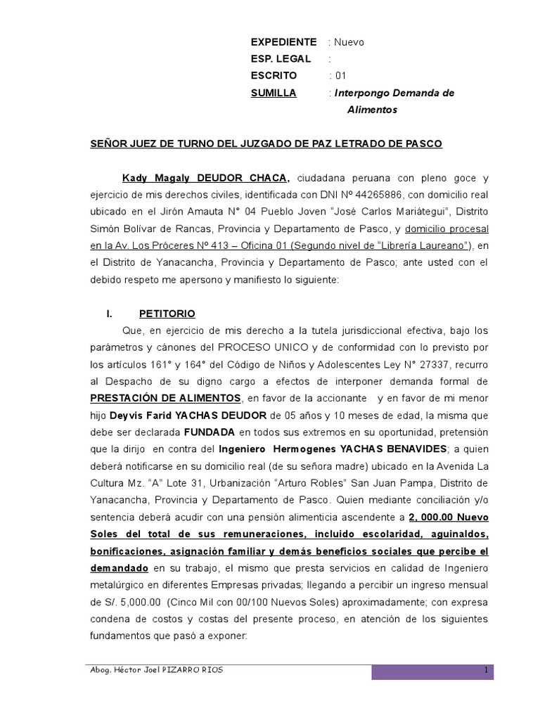 Demanda de Alimentos Kady Magaly Deudor Chaca | PDF | Manutención de los hijos | Matrimonio