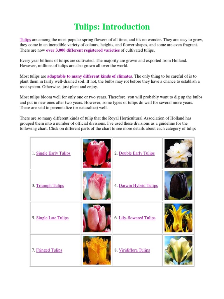 Tulips: Introduction: Over 3,000 Different Registered Varieties ...