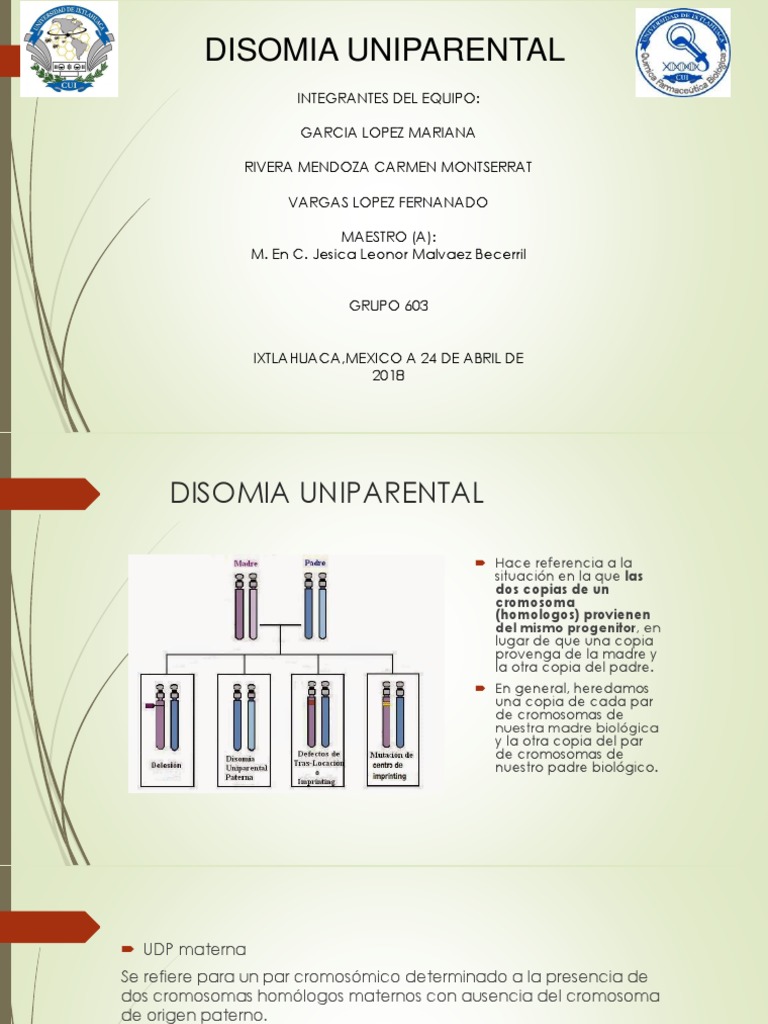 Disomía Uniparental: Tipos y Síndromes | PDF | Genética | Biología