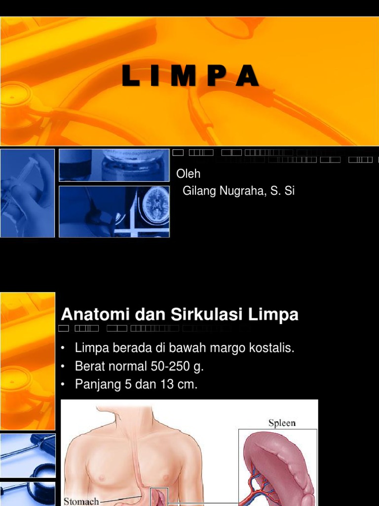 LIMPA | PDF