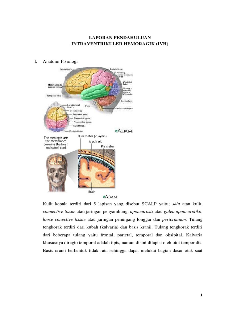 LP Ivh | PDF | Pengembangan Diri | Kesehatan Holistik