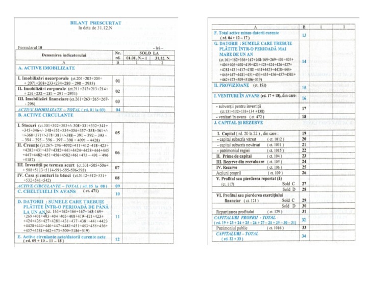 Bilant Prescurtat | PDF