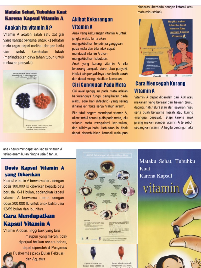 Leaflet Vitamin A | PDF