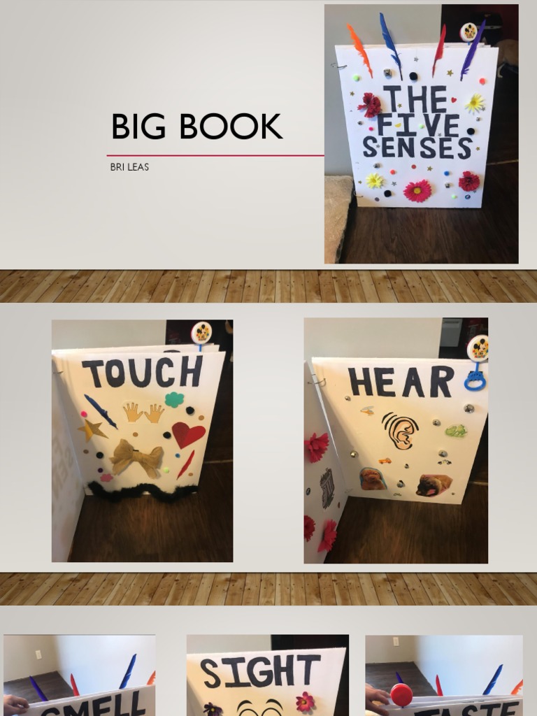 Big Book Pictures | PDF