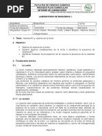 Prueba de Trommer y Reacción de Floroglucina | PDF
