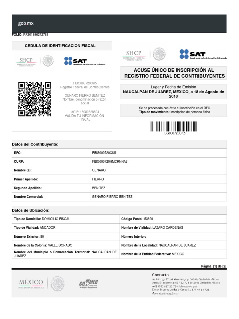 Formato RFC | PDF | México | Gobierno