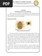 Authorization TOR | PDF