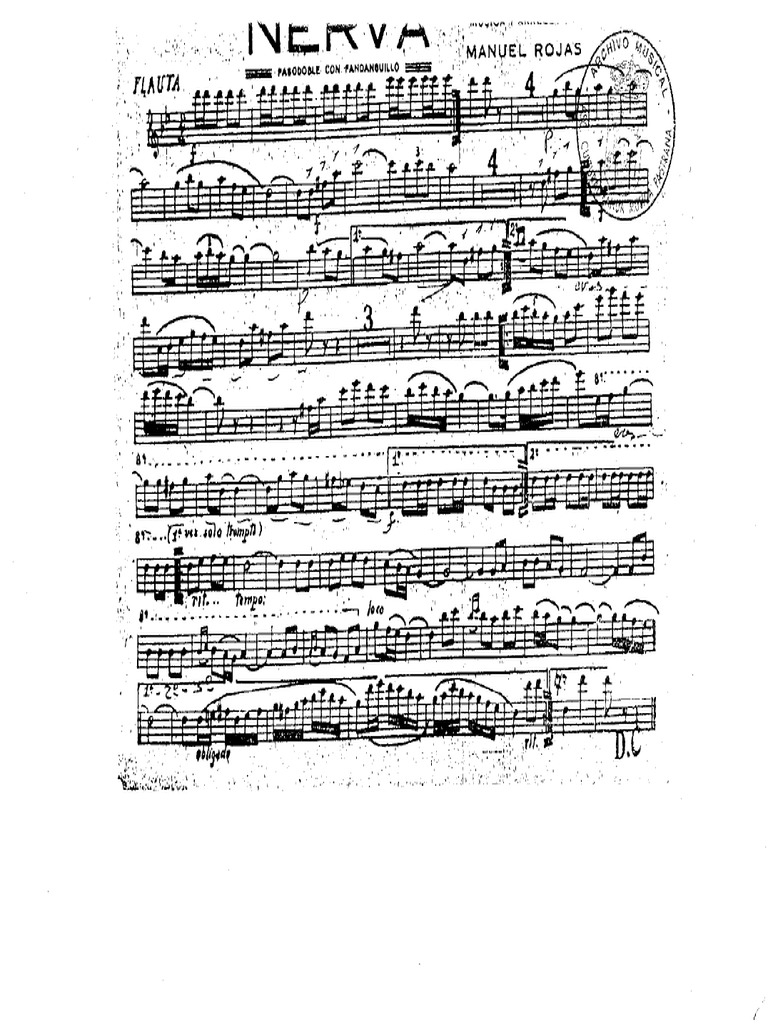 Nerva Flauta | PDF