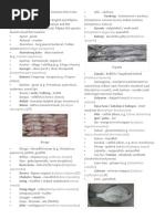 Chart For Saltwater With Tagalog Words | PDF | Language Arts ...