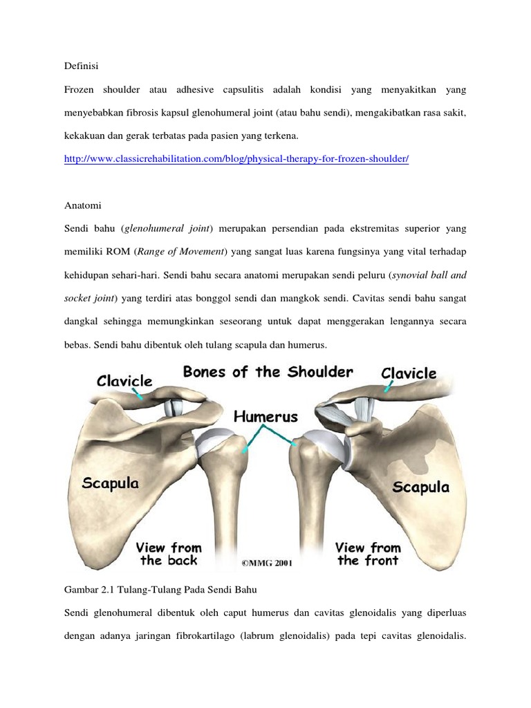 Frozen Shoulder | PDF