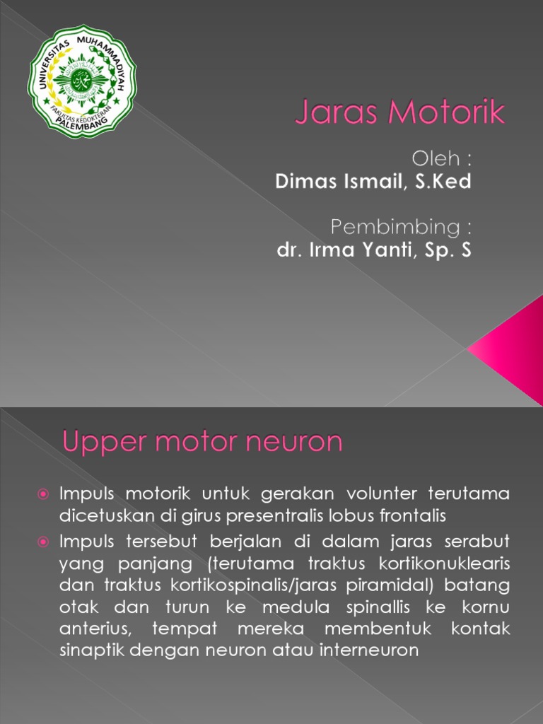 Jaras Motorik | PDF