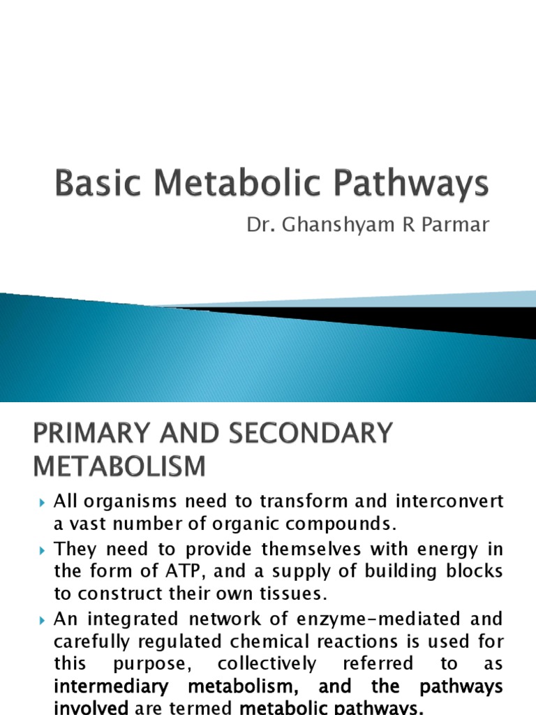 Biosynthetic Pathways - GP | PDF | Biosynthesis | Metabolism