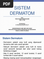 Peta Dermatome dan Inervasi Saraf | PDF