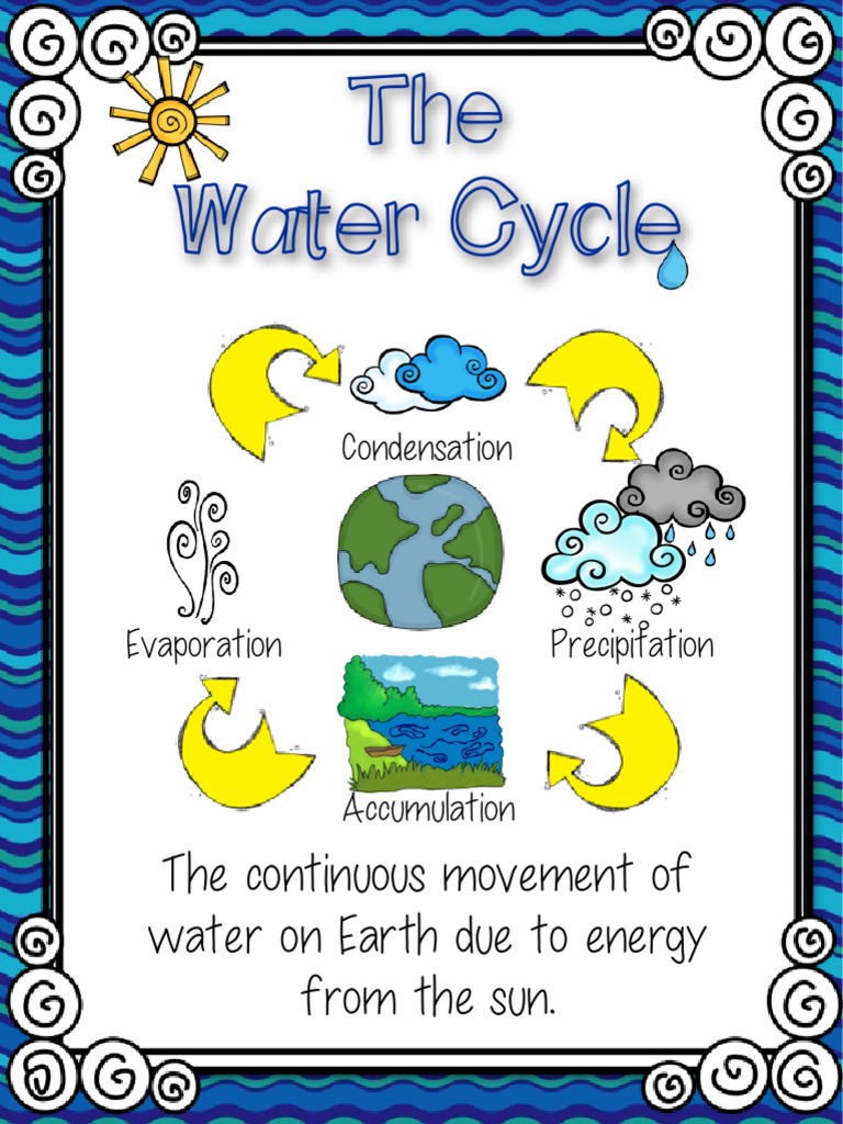 Water Cycle Freebie Pack PDF | PDF | Water Cycle | Drop (Liquid)