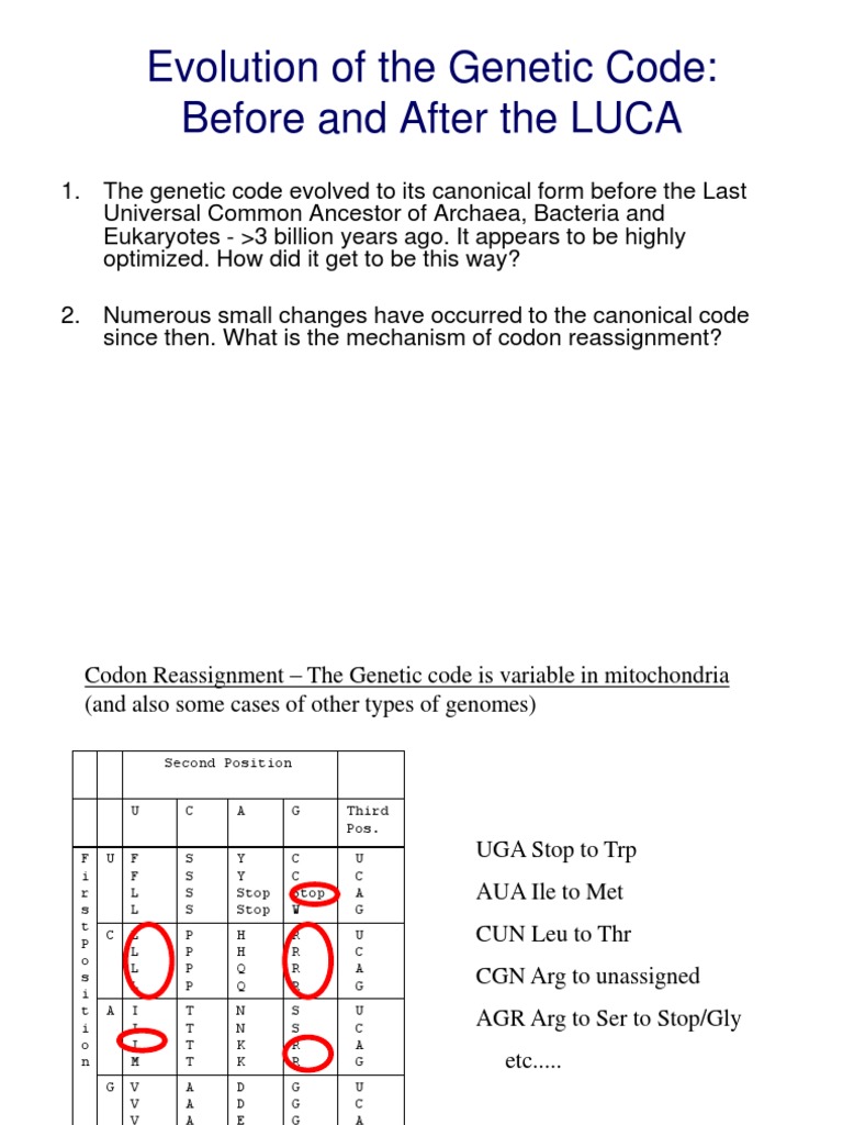 Evolution of The Genetic Code: Before and After The LUCA | PDF ...