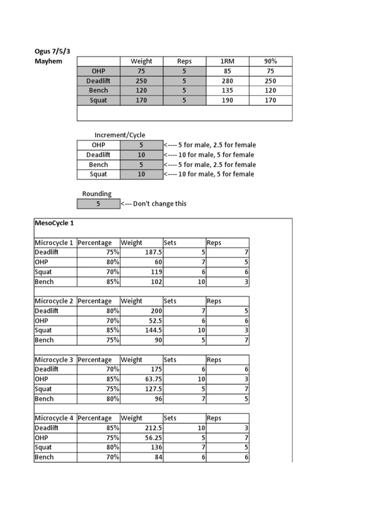Matt Ogus 753-Excel Workbook PDF | PDF | Weight Training | Hobbies