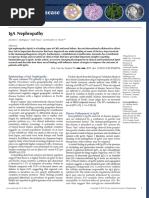 IRIS Pocket Guide To CKD PDF | PDF | Chronic Kidney Disease | Creatinine