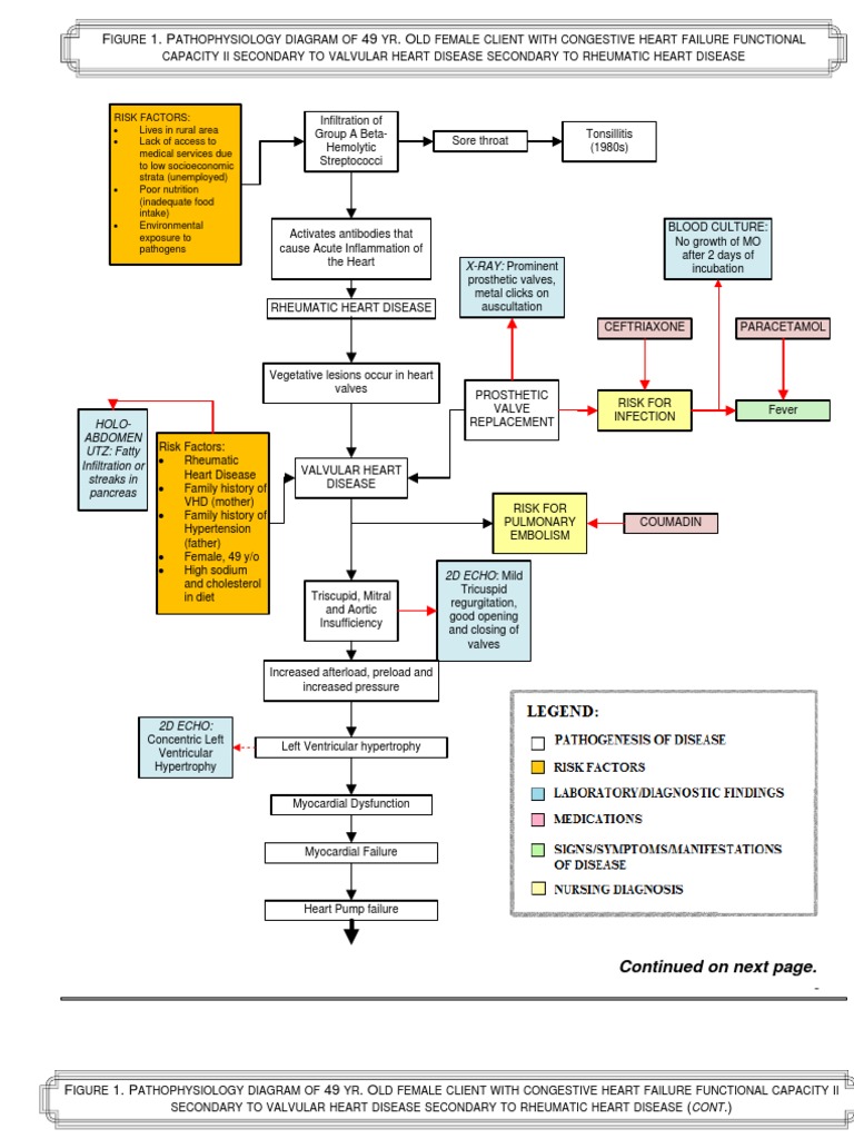 Pathophysiology of Congestive Heart Failure | Heart Failure | Heart