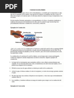 TRANSFERENCIA DE CALOR (Actividad para Secundaria) | PDF | Convección ...