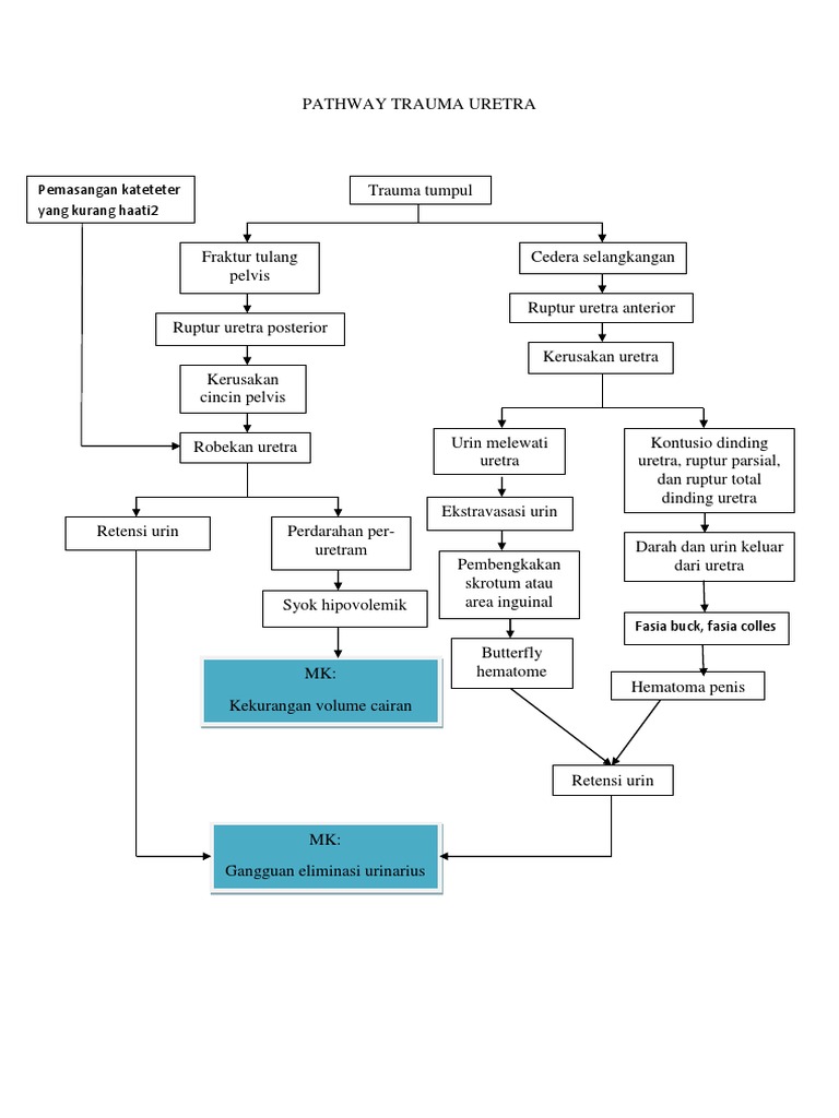Pathway Trauma Uretra | PDF