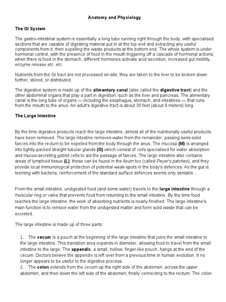 Anatomy and Physiology of Intestines | PDF | Gastrointestinal Tract ...