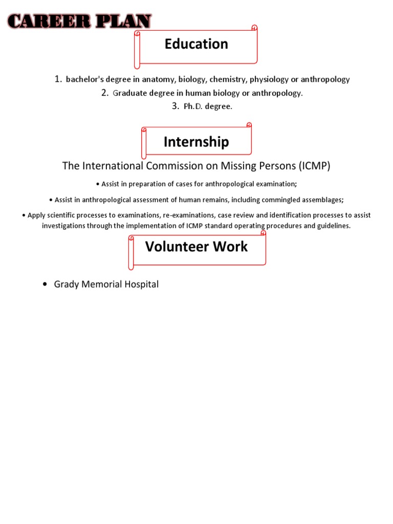 Career Plan | PDF