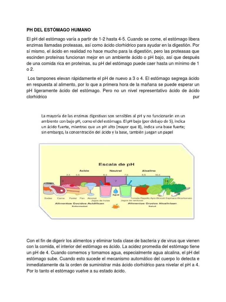 PH Del Estómago Humano | PDF | Tiroides | Hipertiroidismo