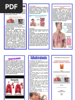 Enfermedades Respiratorias Triptico | PDF | Neumonía | Resfriado comun