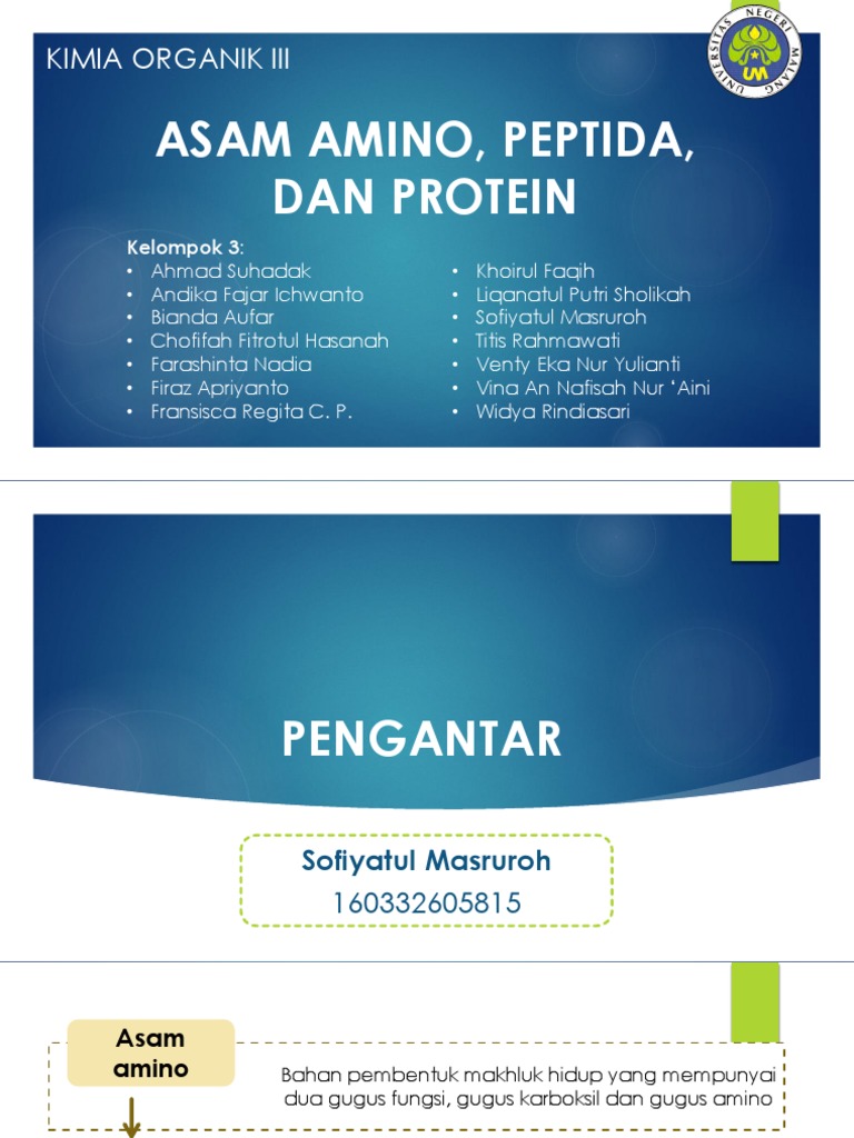 Protein Kimor 3 | PDF