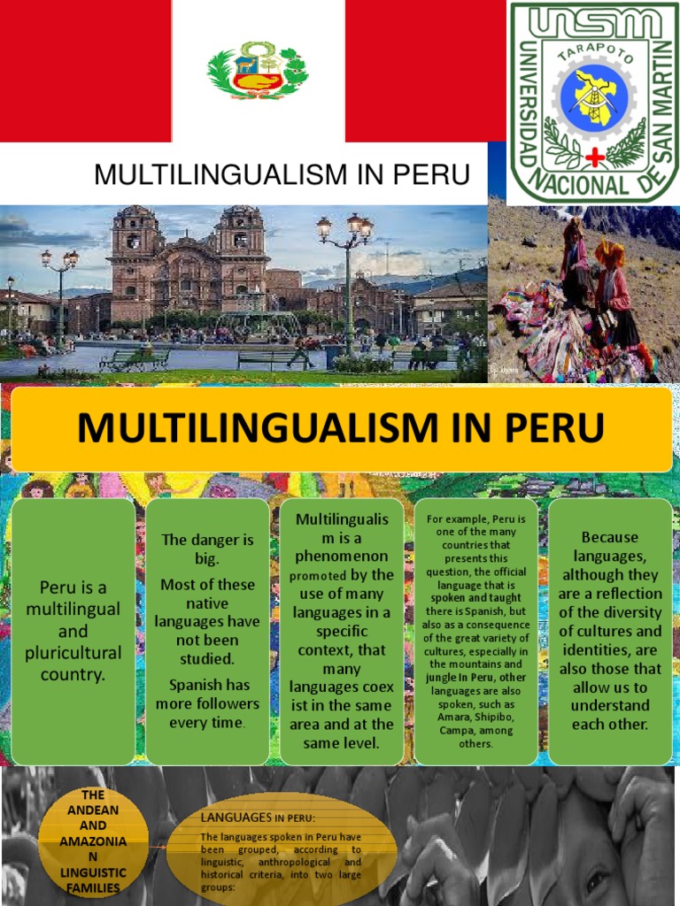Official Languages of Peru Explained | PDF | Peru | Languages