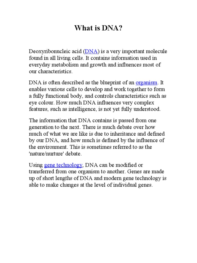 Understanding DNA: Structure and Function | PDF