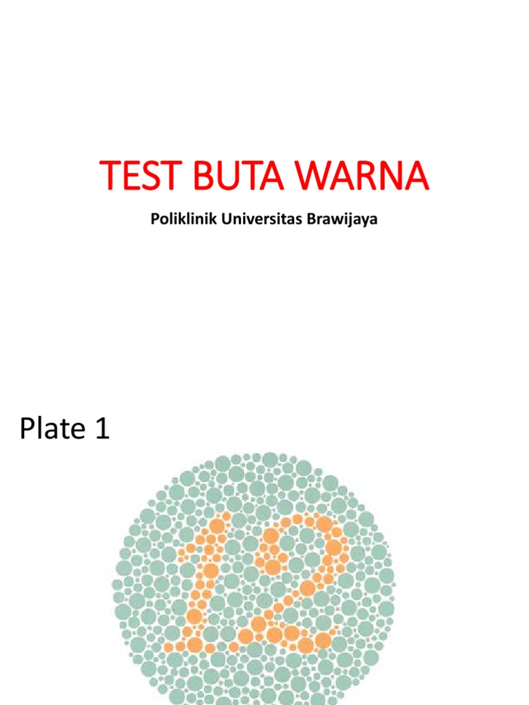 Test Buta Warna | PDF