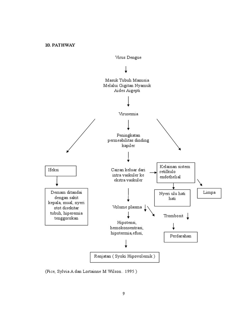 Pathway Intervensi LP DHF | PDF