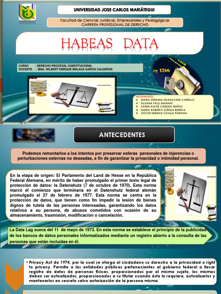 Habeas Data | PDF | Derechos humanos | Derecho Constitucional