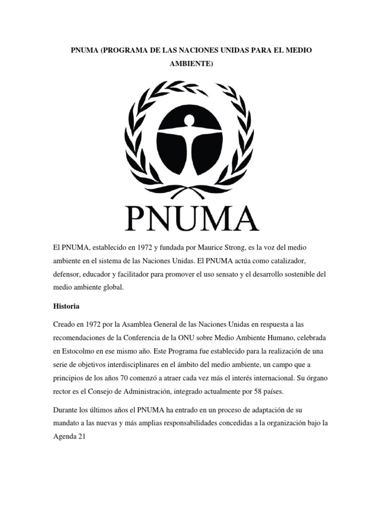 PNUMA | PDF | Programa del Medio Ambiente de las Naciones Unidas ...