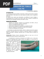 Linea de Feiss, Linea de Helbing | PDF | Pie | Anatomía humana