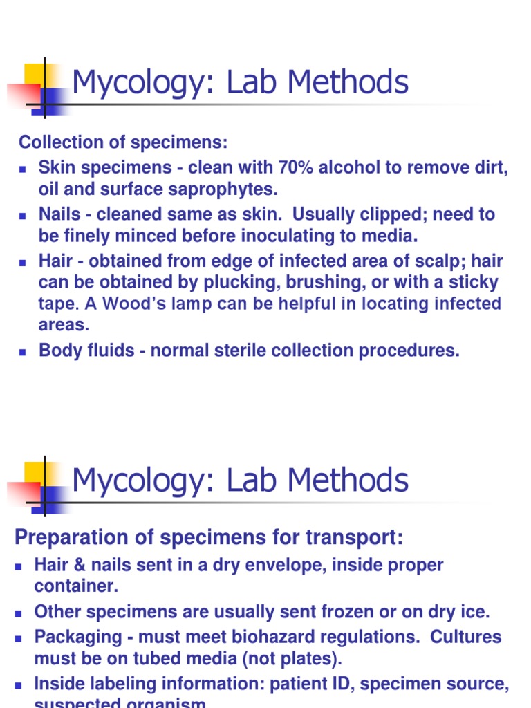 Mycology Lab Procedures Summer 2012 | PDF | Staining | Fungus