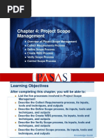 Project Management Standards | PDF | Project Management | Accountability