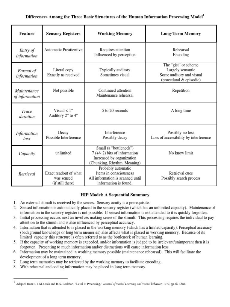 HIP Summary Handout | PDF | Working Memory | Memory