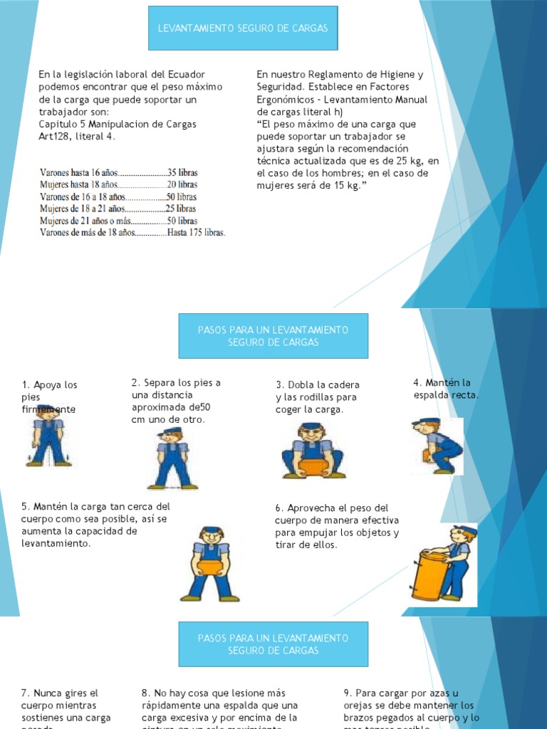 Capacitacion de Levantamiento Manual de Cargas | PDF | Factores humanos y ergonomía | Naturaleza