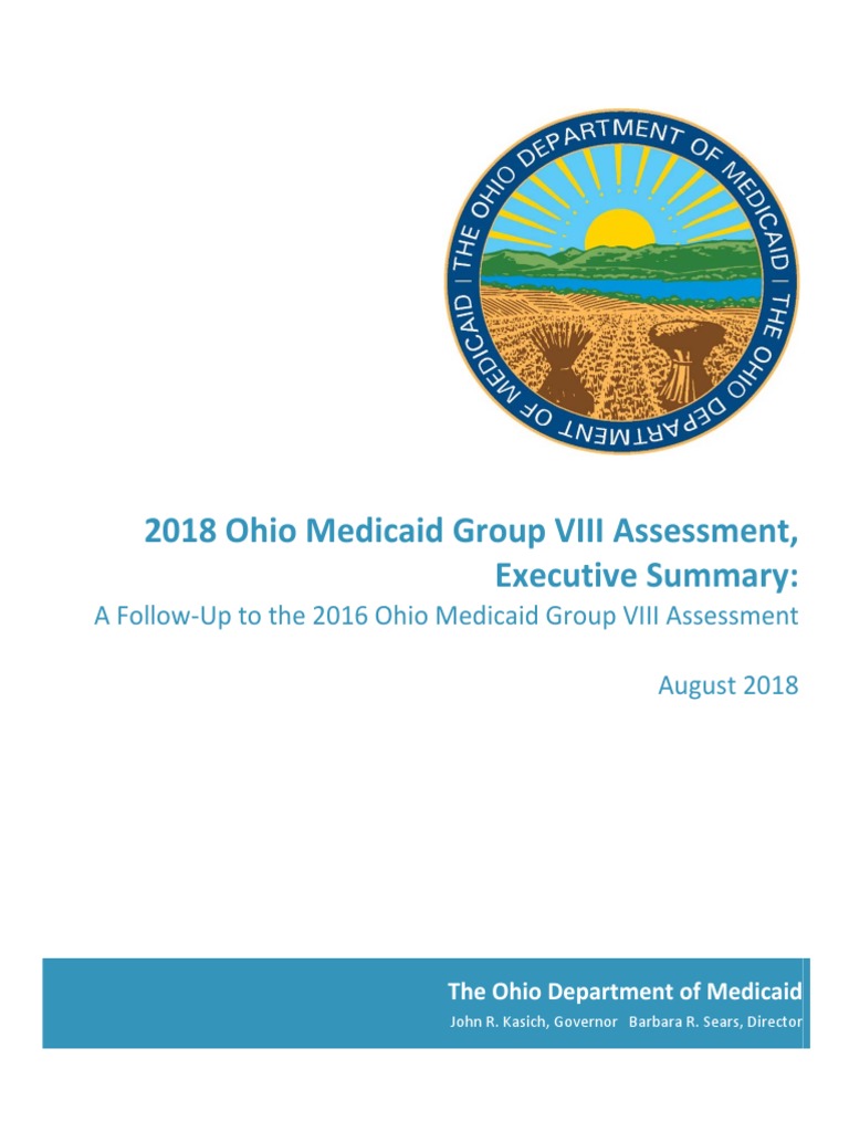 2018 Ohio Medicaid Group VIII Assessment, Executive Summary | PDF ...