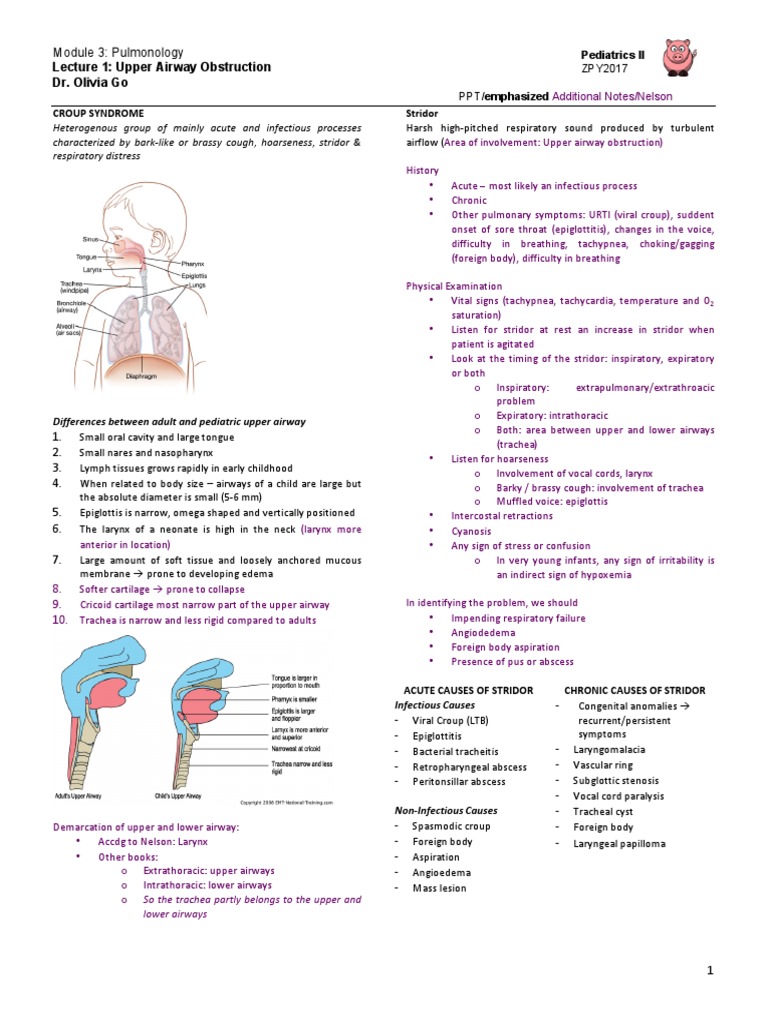 Upper Airway Obstruction | Respiratory Tract | Larynx