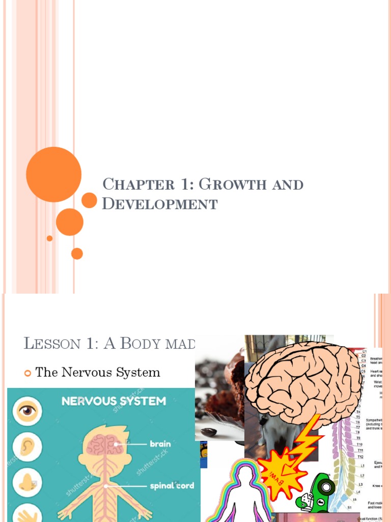 Chapter 1 Health | PDF